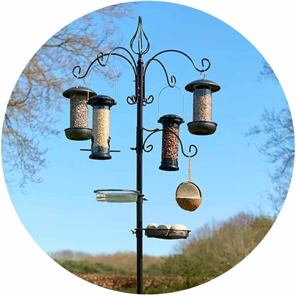 (TC) Harvest Bird Feeding Station